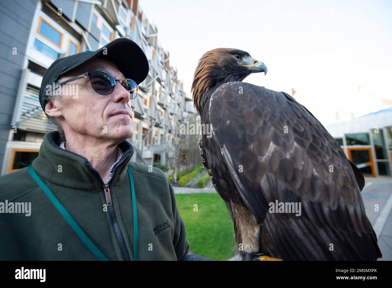 2020 scottish legislation falconry in scotland hi-res stock photography ...
