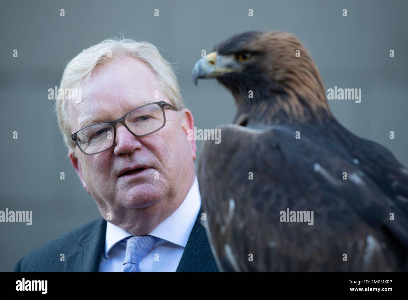 2020 scottish legislation falconry in scotland hi-res stock photography ...