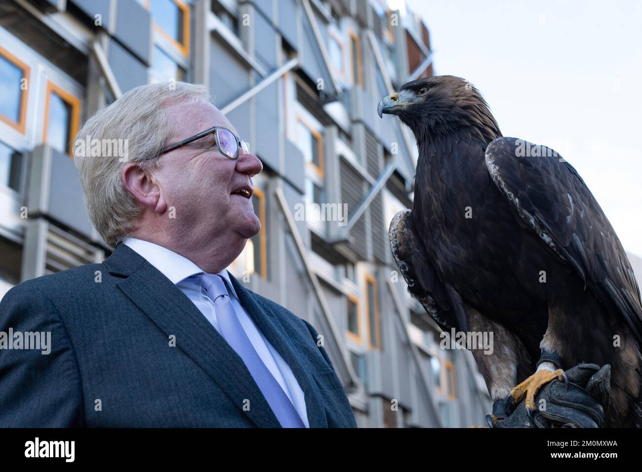2020 scottish legislation falconry in scotland hi-res stock photography ...
