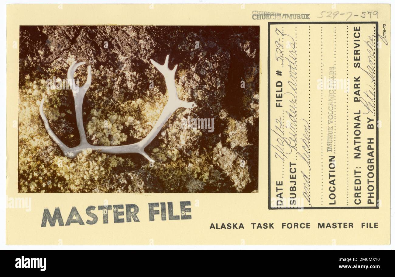 Lichen biodiversity Cut Out Stock Images & Pictures - Alamy