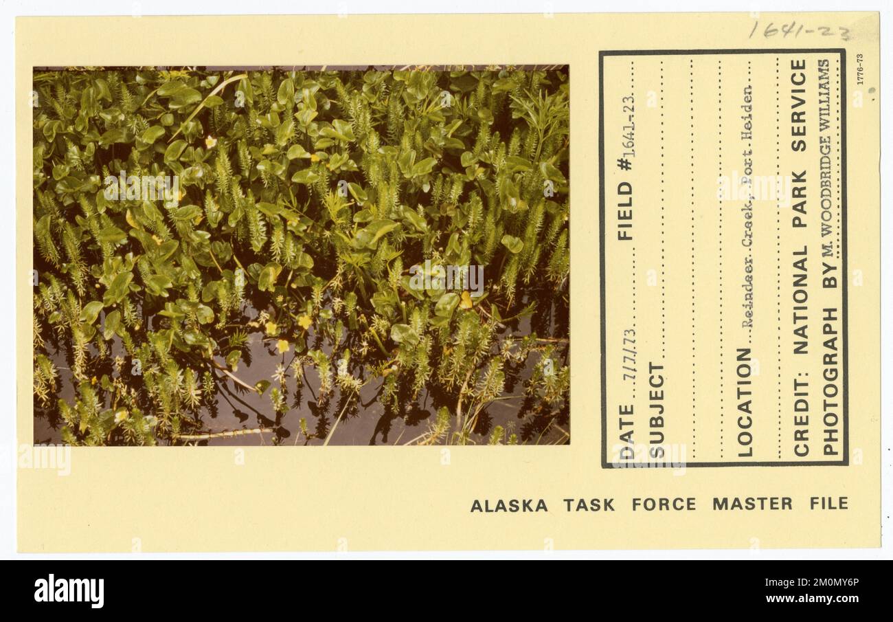 Reindeer Creek, Port Heiden. Alaska Task Force Photographs Stock Photo ...