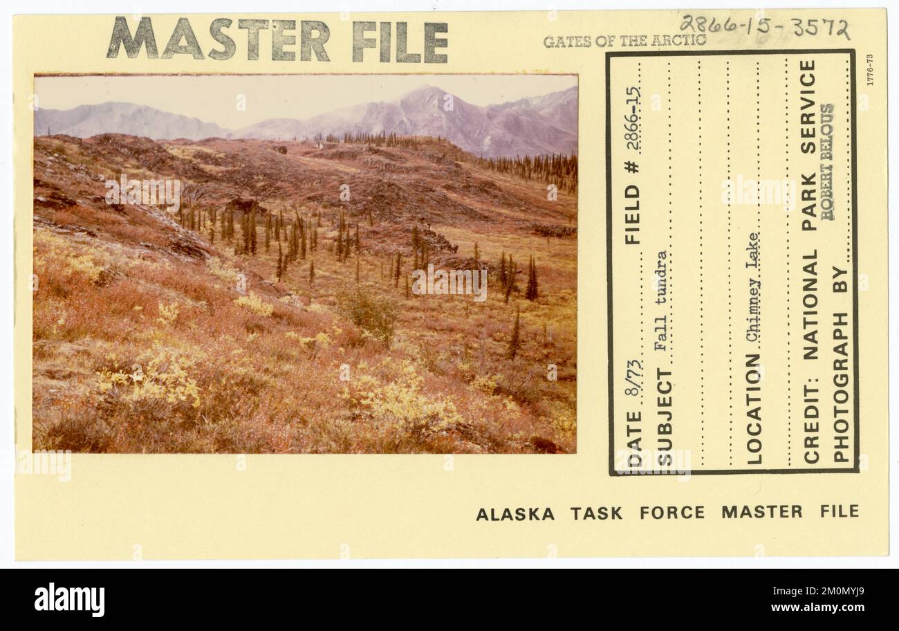 Fall tundra. Alaska Task Force Photographs Stock Photo - Alamy