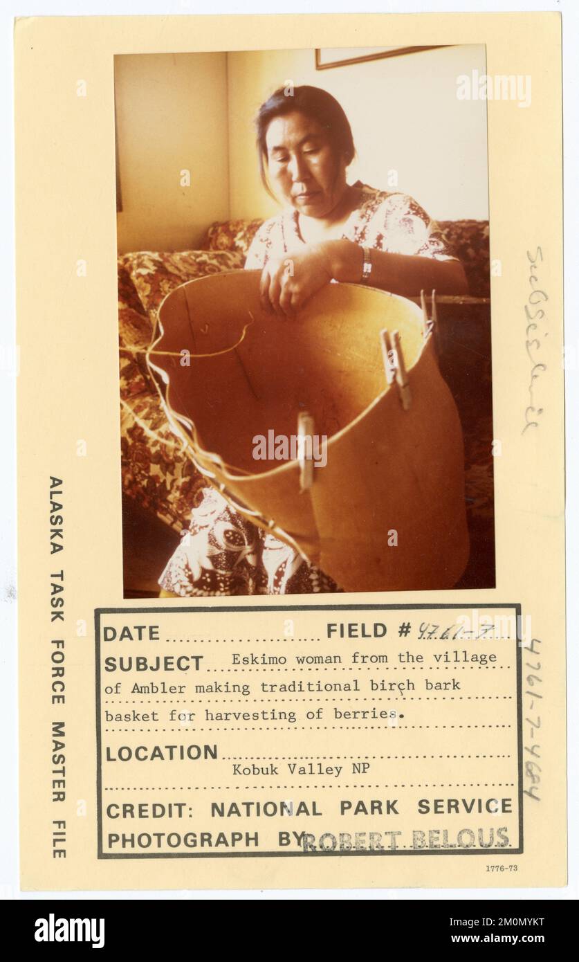Eskimo woman from the village of Ambler making traditional birch bark ...