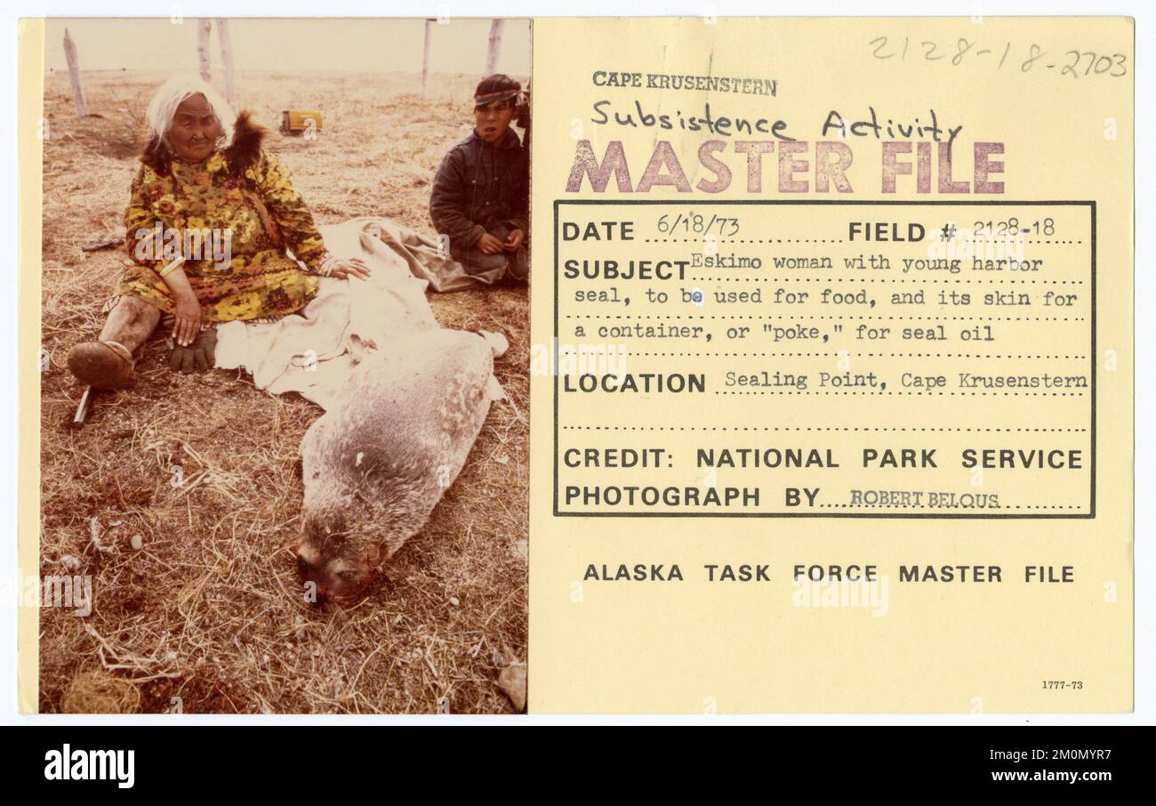 Eskimo woman with young harbor seal, to be used for food, and its skin ...