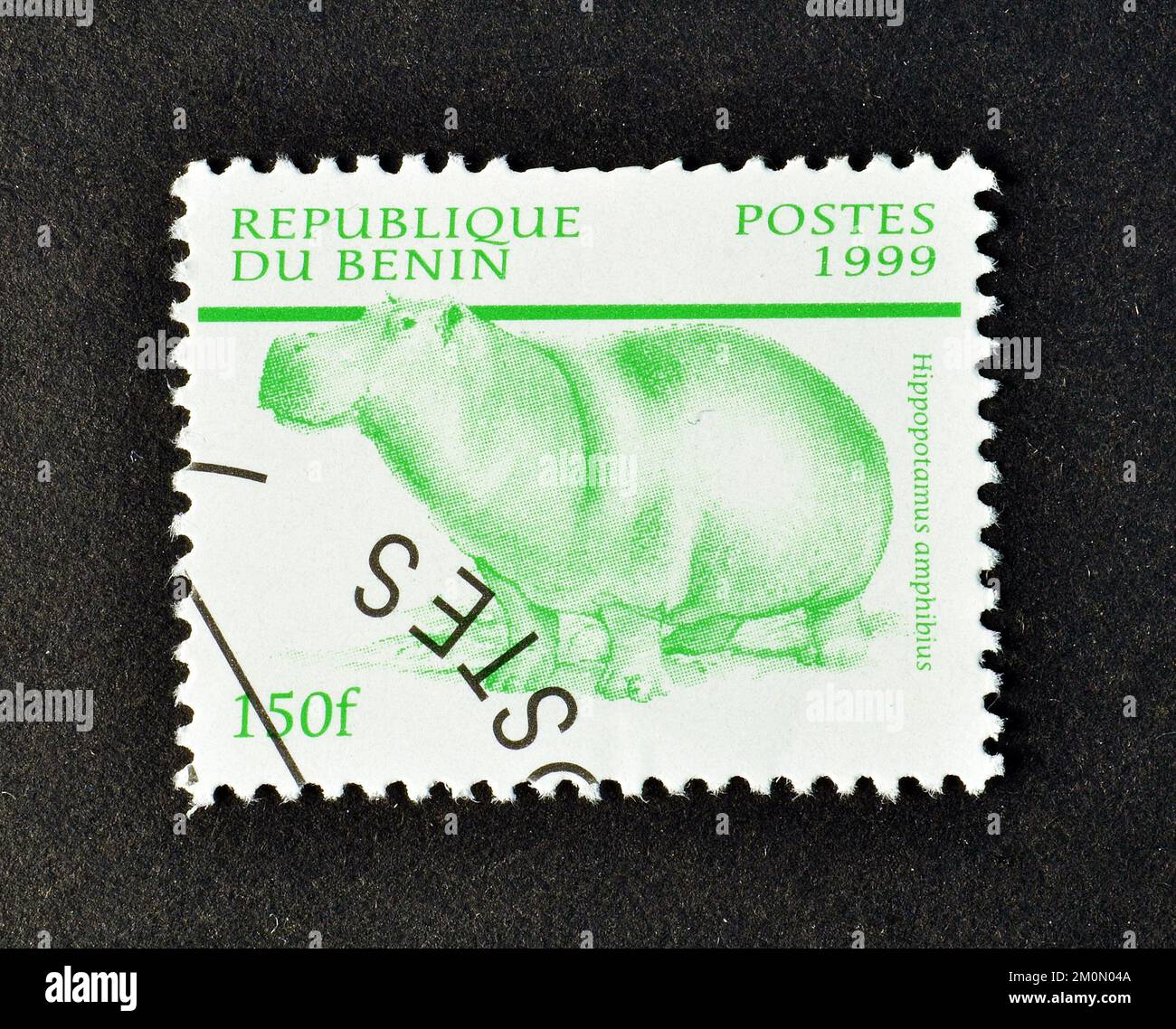 Cancelled postage stamp printed by Benin, that shows Hippopotamus ...