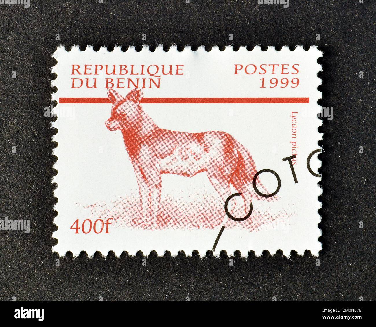Cancelled postage stamp printed by Benin, that shows African Hunting ...