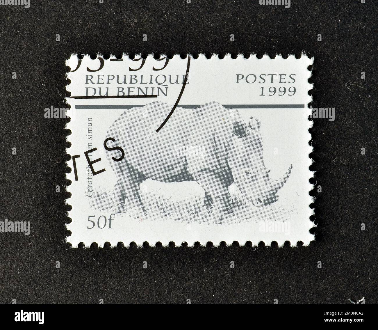 Cancelled postage stamp printed by Benin, that shows White Rhinoceros ...
