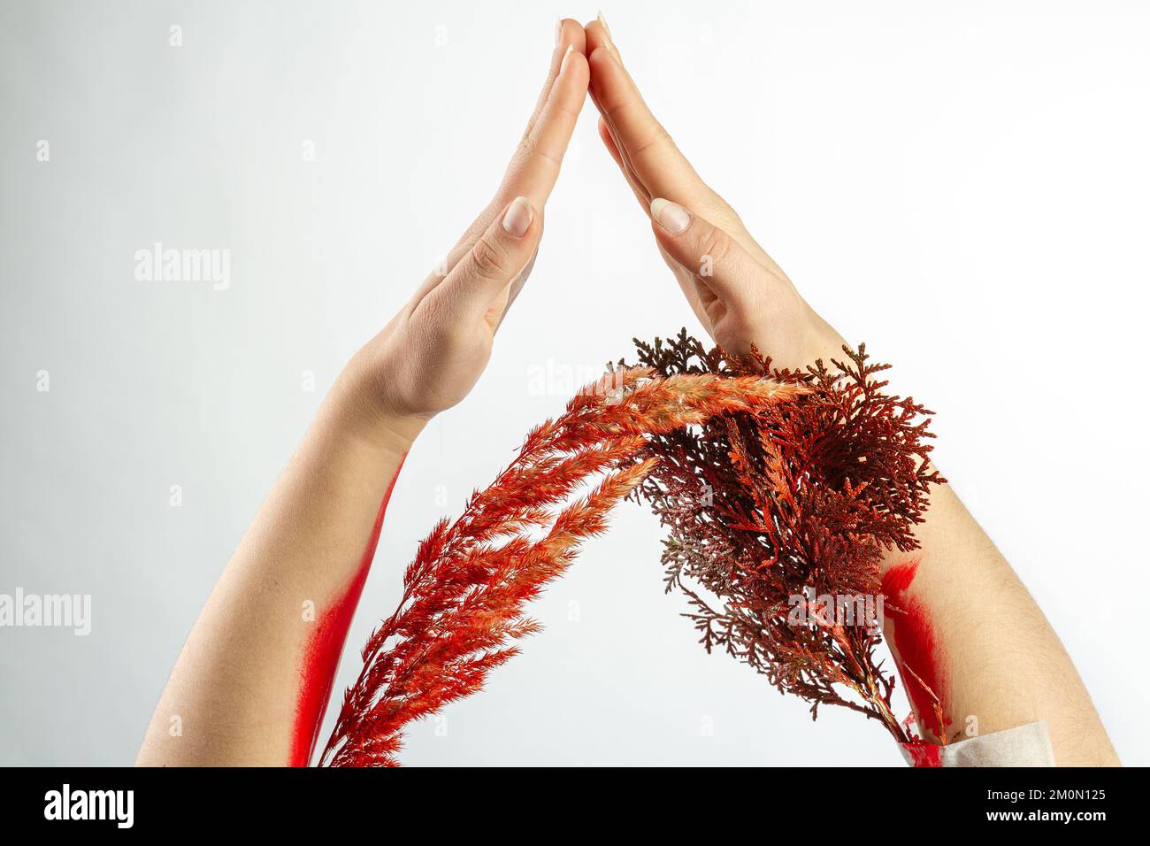 Close up female hands forming hi-res stock photography and images - Alamy