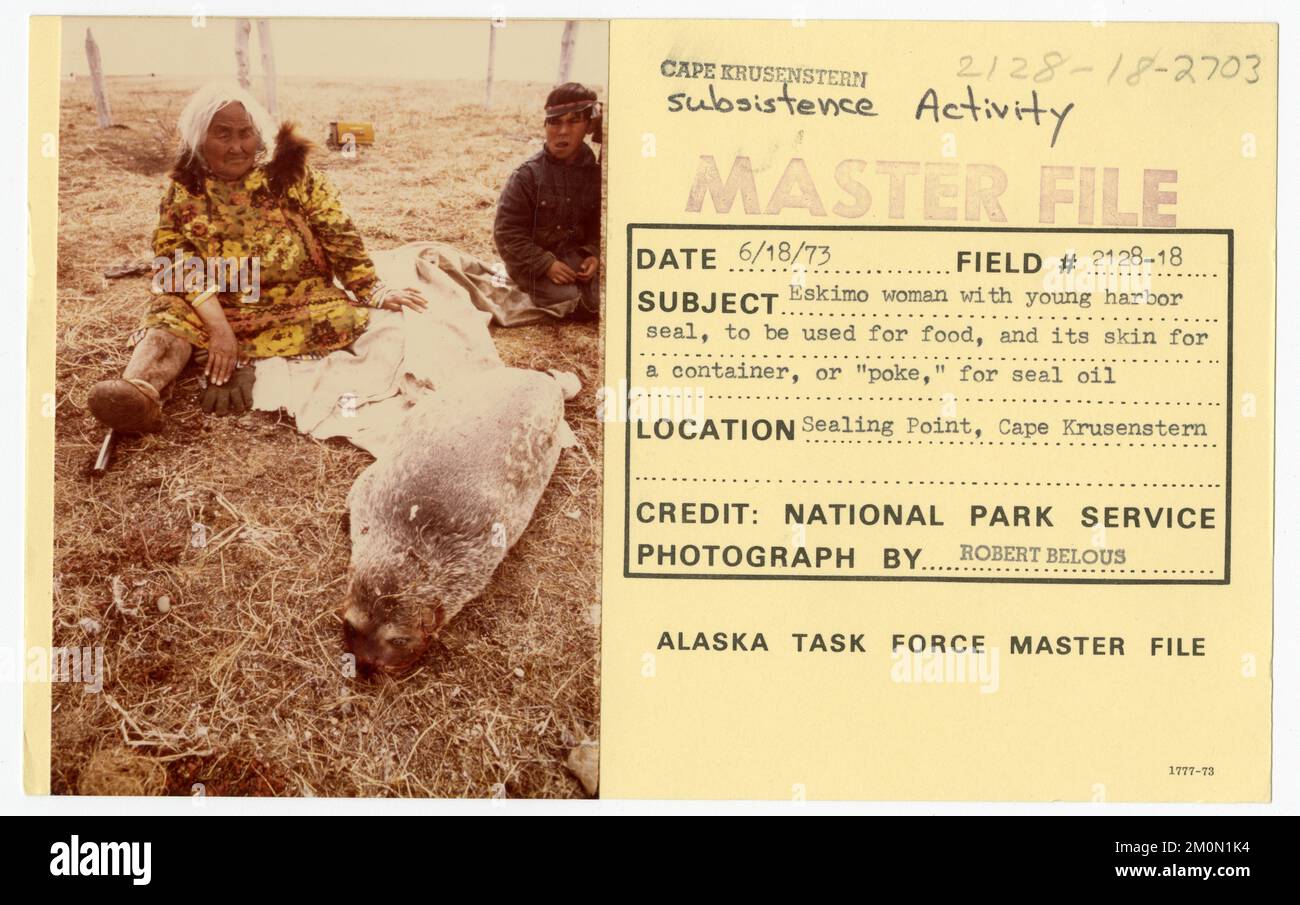 Eskimo woman with young harbor seal, to be used for food, and its skin ...