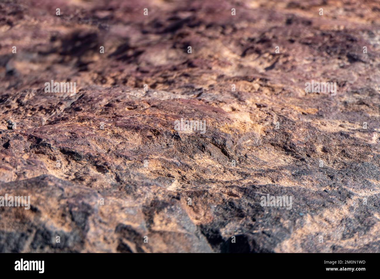 Colorful surface of mineralized stone. Ramon crater. Desert of the ...