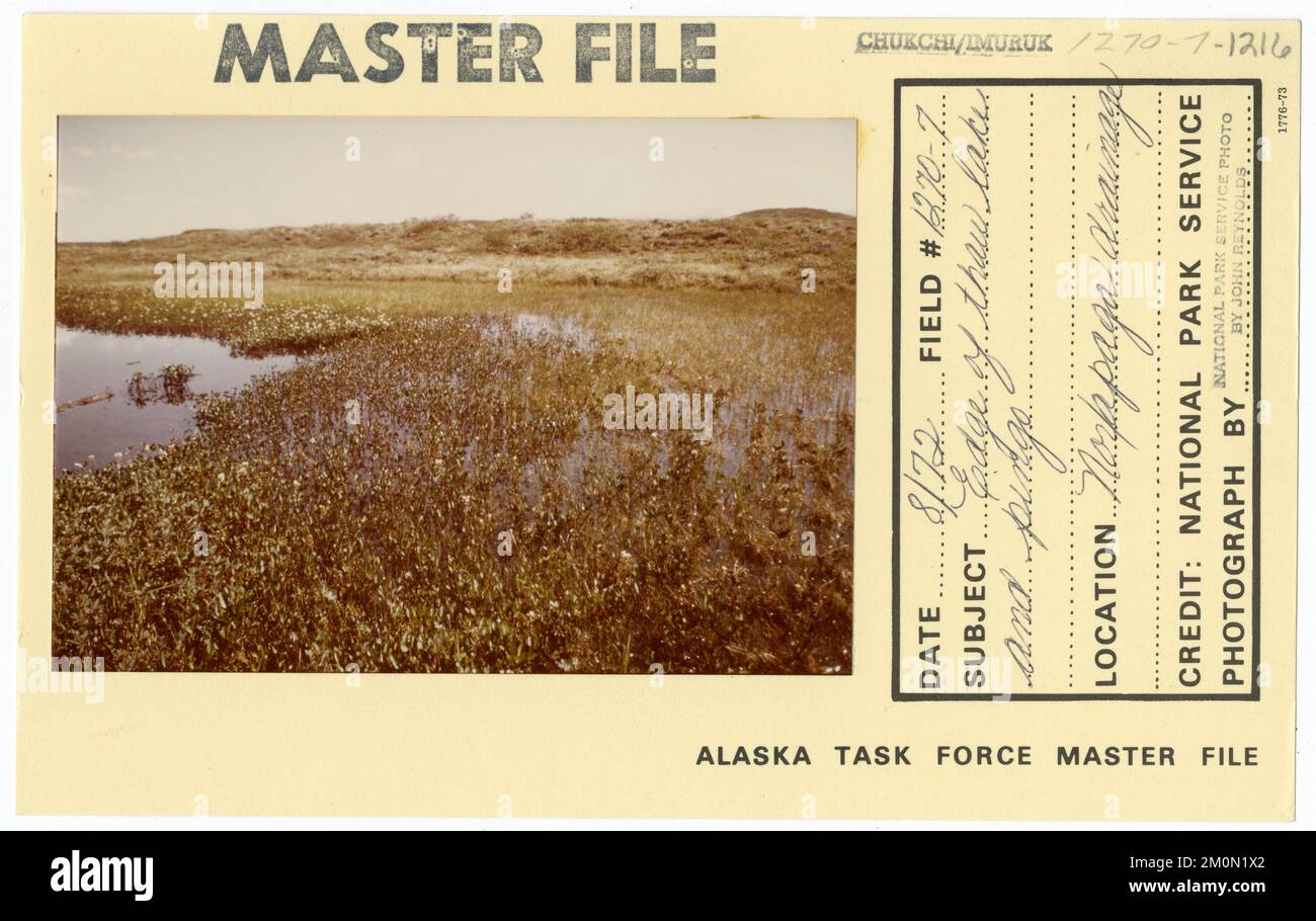 Edge of thaw lake and pingo. Alaska Task Force Photographs Stock Photo ...