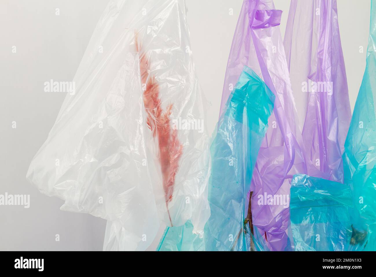 Close up hanging plastic bags with herbs. Isolated on white Stock Photo ...