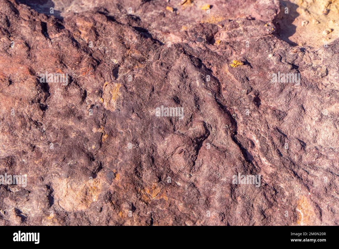 Colorful surface of mineralized stone. Ramon crater. Desert of the ...