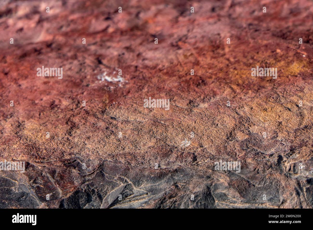 Colorful surface of mineralized stone. Ramon crater. Desert of the ...