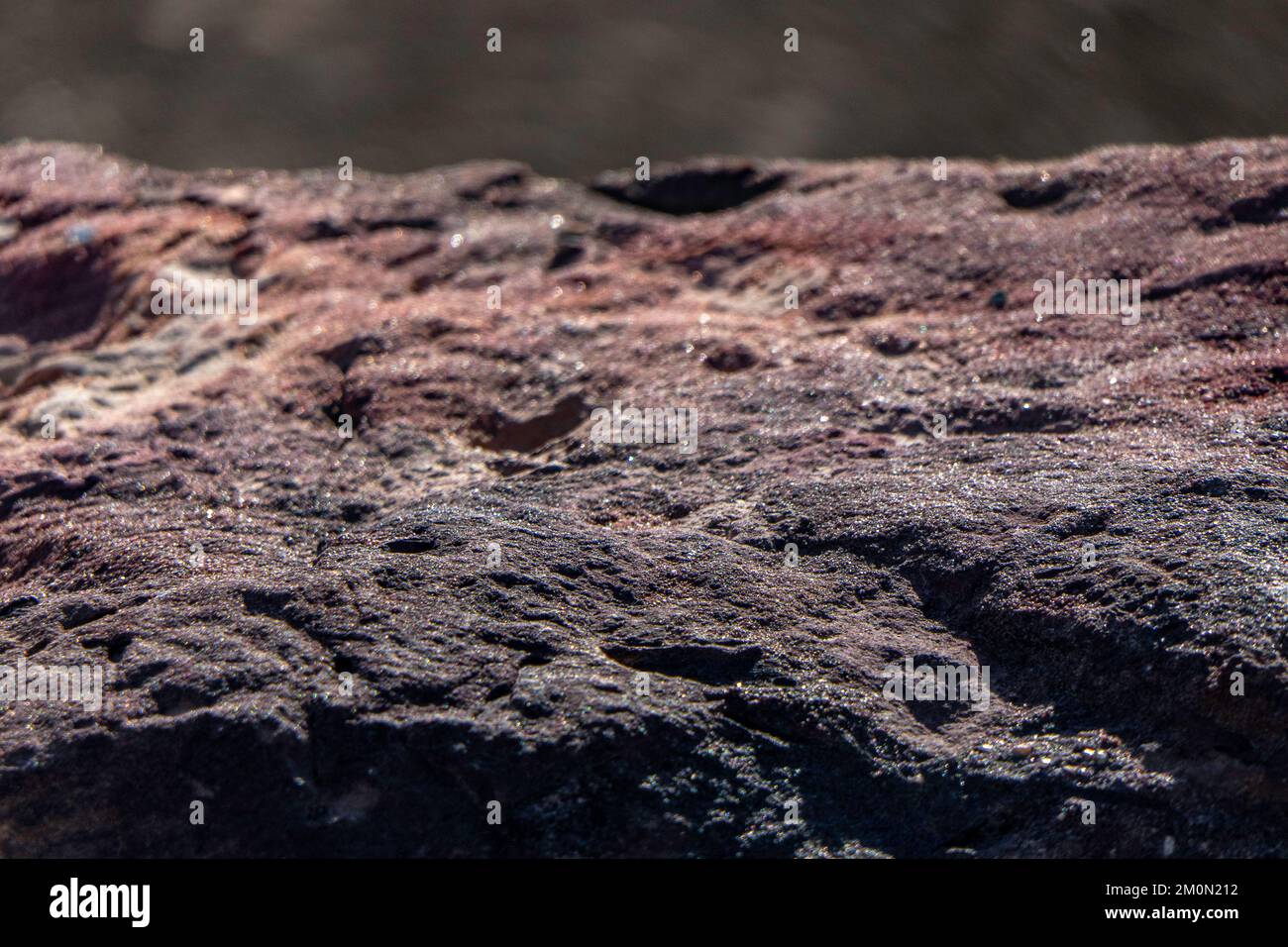 Colorful surface of mineralized stone. Ramon crater. Desert of the ...