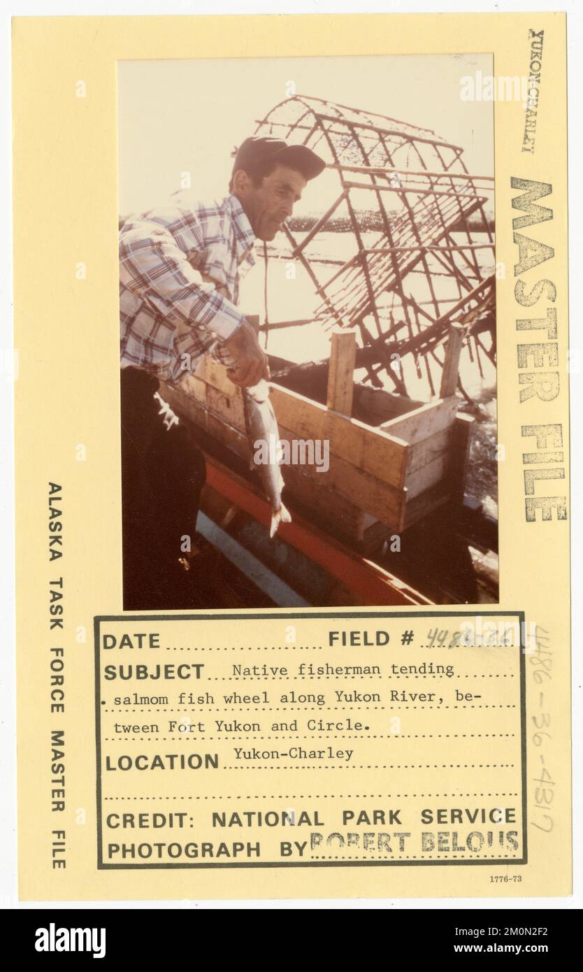 Native fisherman tending salmon fish wheel along Yukon River, between ...