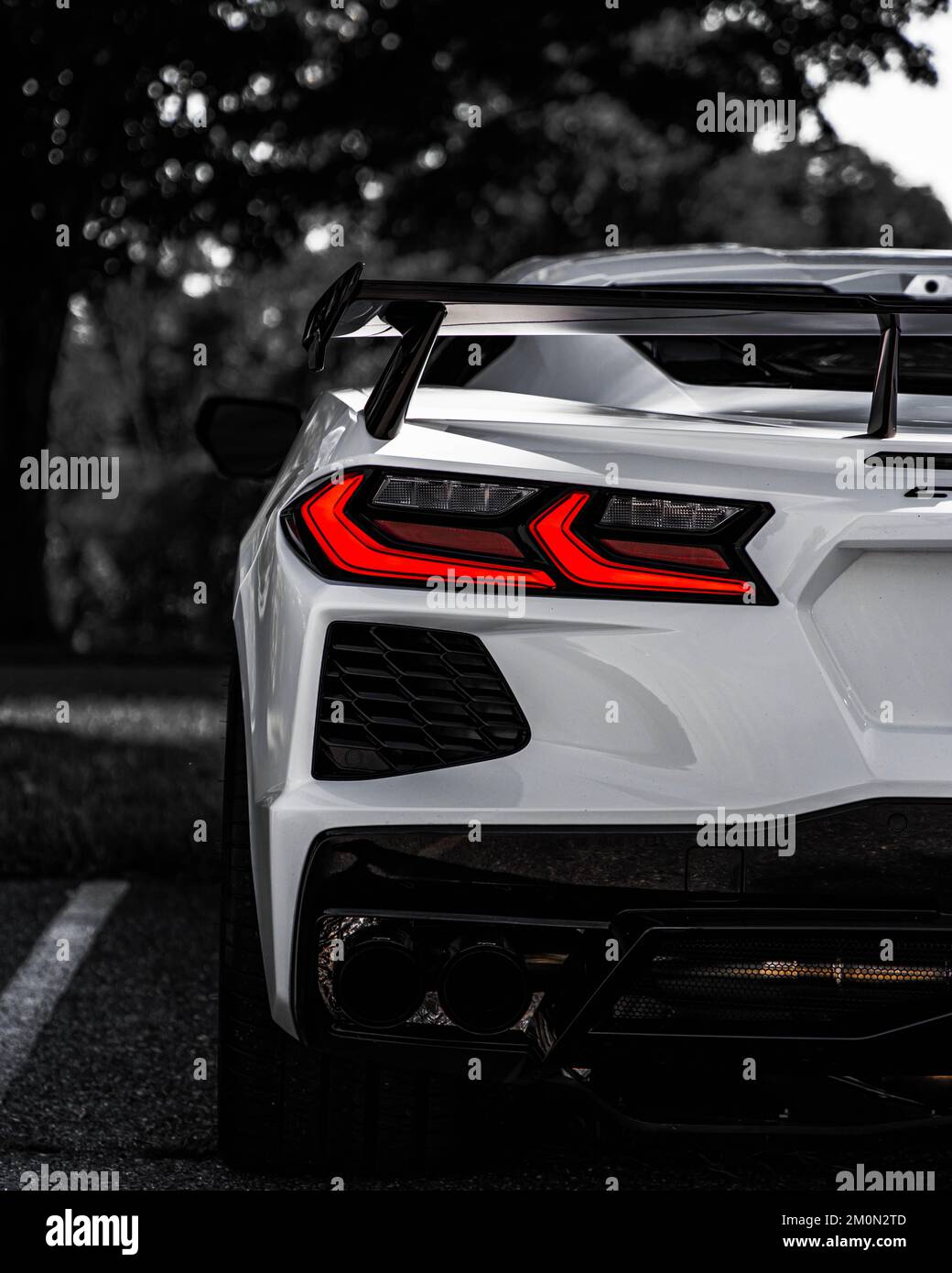 A selective color vertical of the back of a white Chevrolet Corvette C8 ...