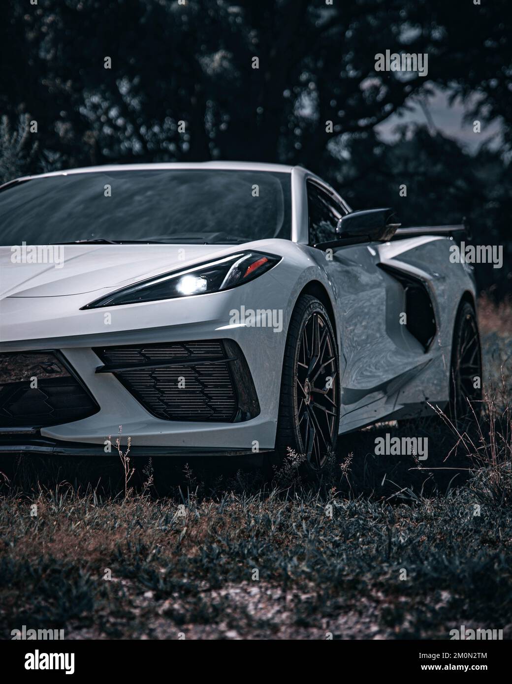 A vertical view of the front of a mesmerizing white Chevrolet Corvette ...