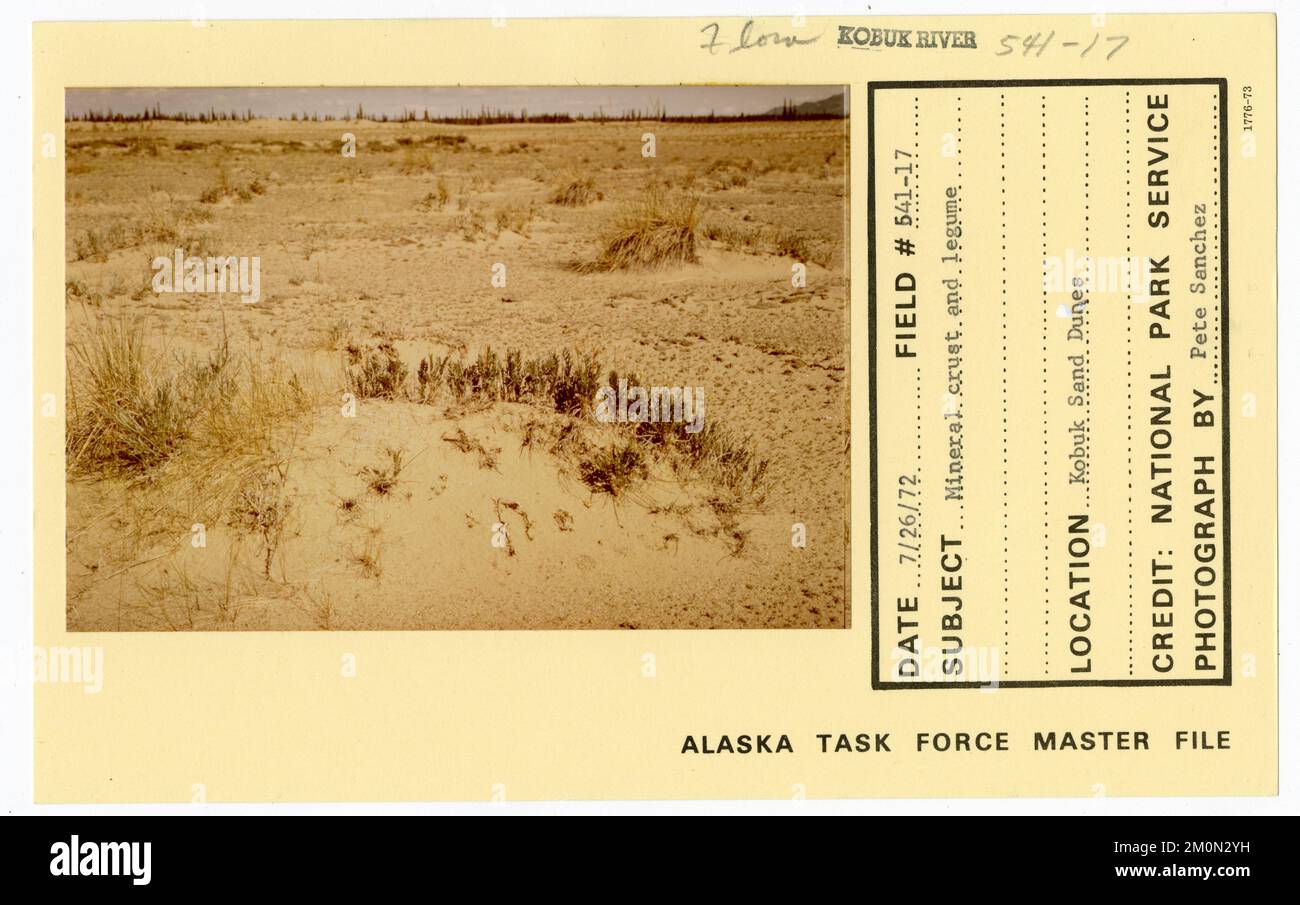 Soil crust Cut Out Stock Images & Pictures - Alamy