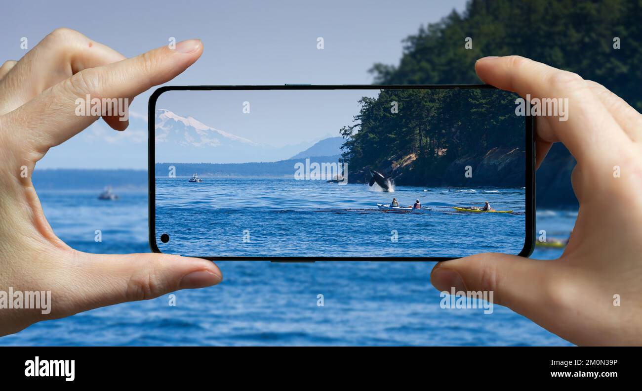 Tourist taking a picture with a mobile phone at a whale wathing tour ...