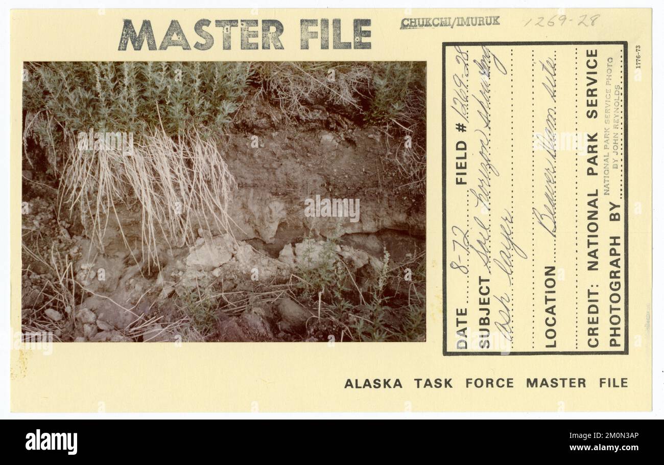 Soil horizon showing ash layer. Alaska Task Force Photographs Stock ...