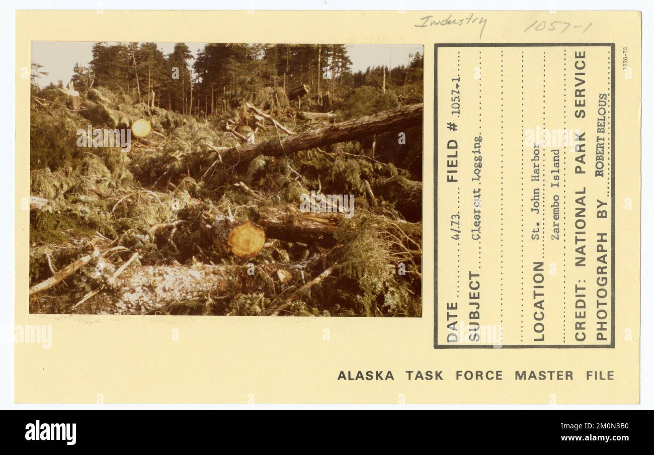 Clearcut logging. Alaska Task Force Photographs Stock Photo - Alamy