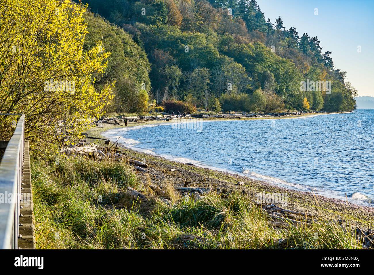 Trees line the shore at Seahurst Park in Burien, Washington Stock Photo ...