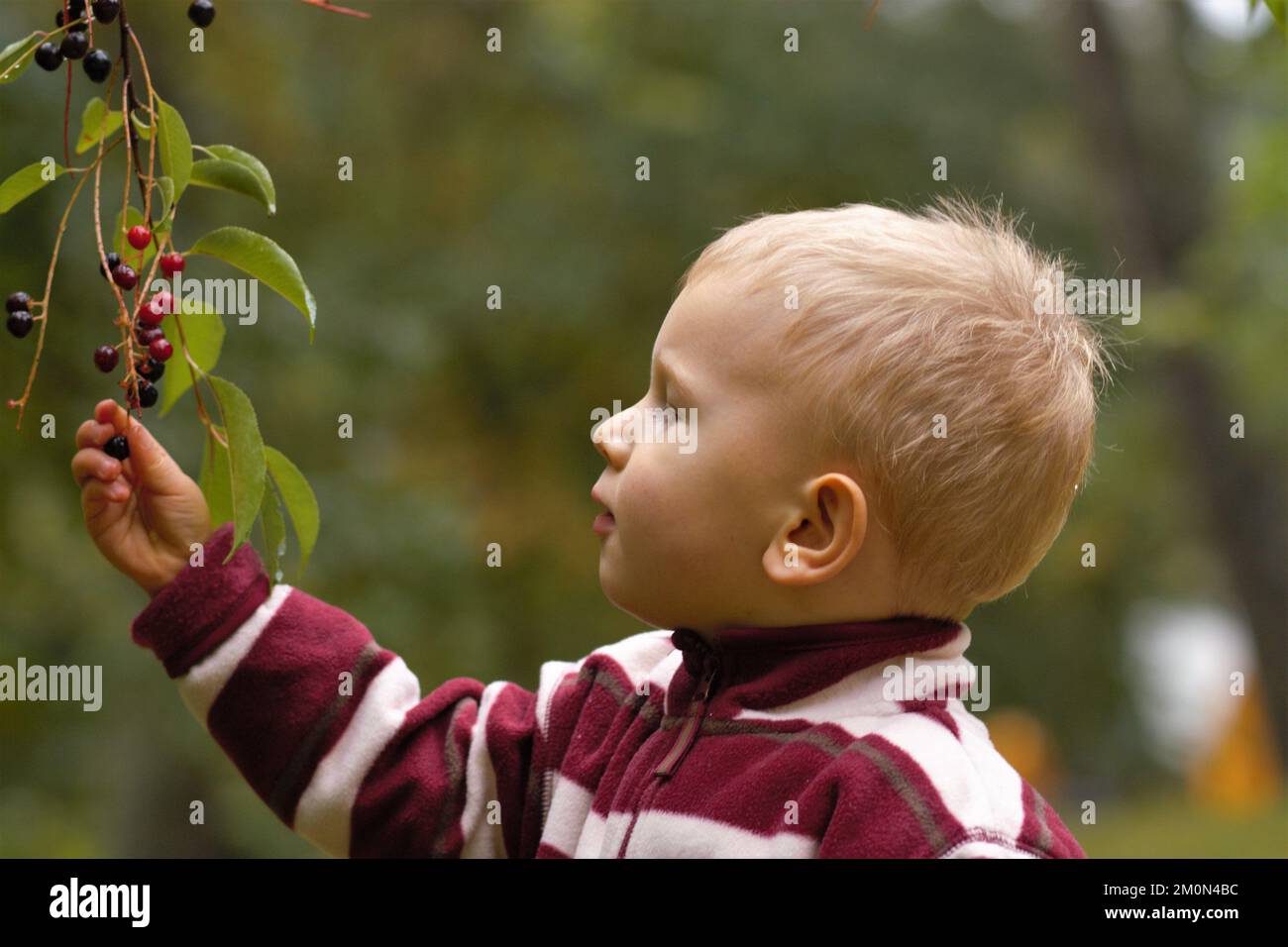 Child discovering the world hi-res stock photography and images - Alamy