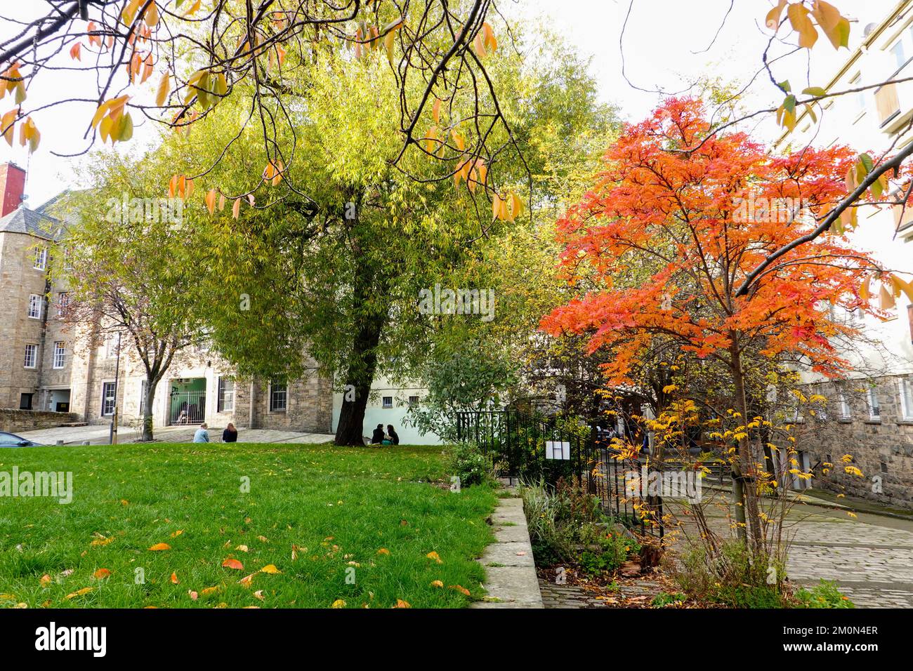 People sitting in the quiet courtyard of Chessel’s courtyard with ...
