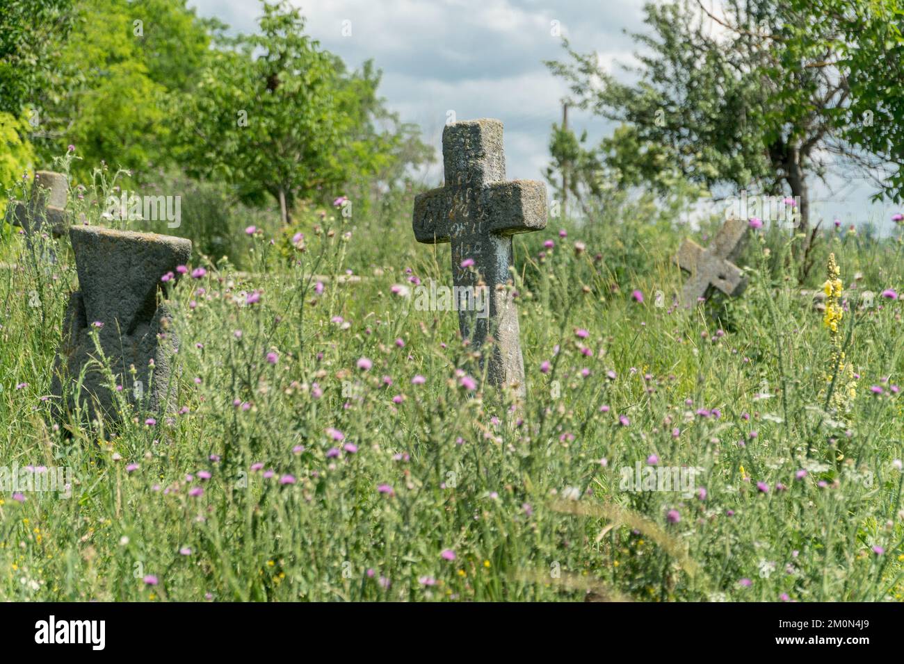Old abandoned cemetary with burials of the Cossacks in Busha state ...