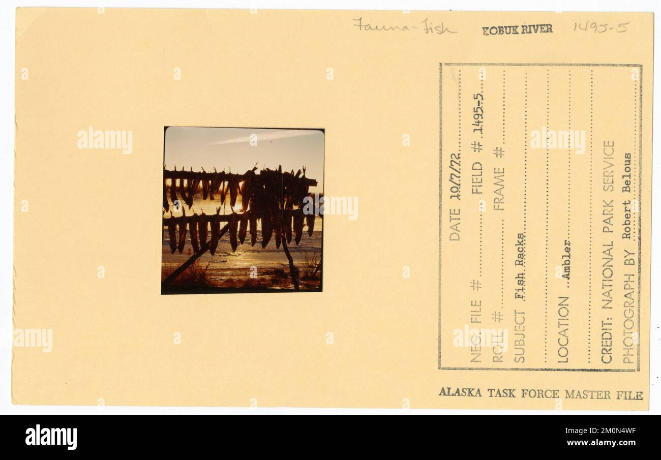 Fish racks. Alaska Task Force Photographs Stock Photo - Alamy