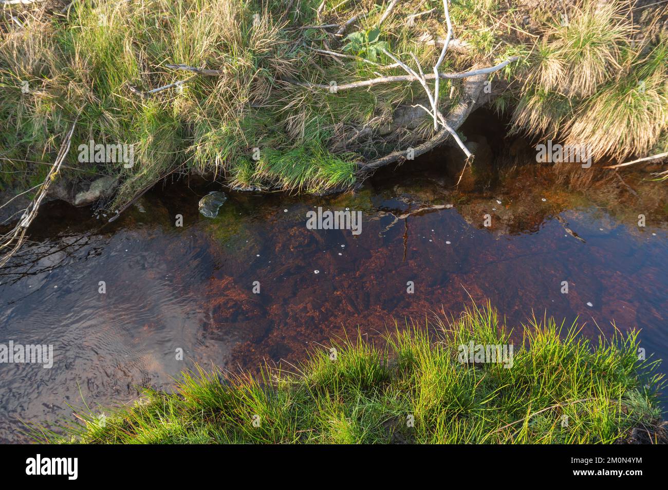 Humic acids hi-res stock photography and images - Alamy