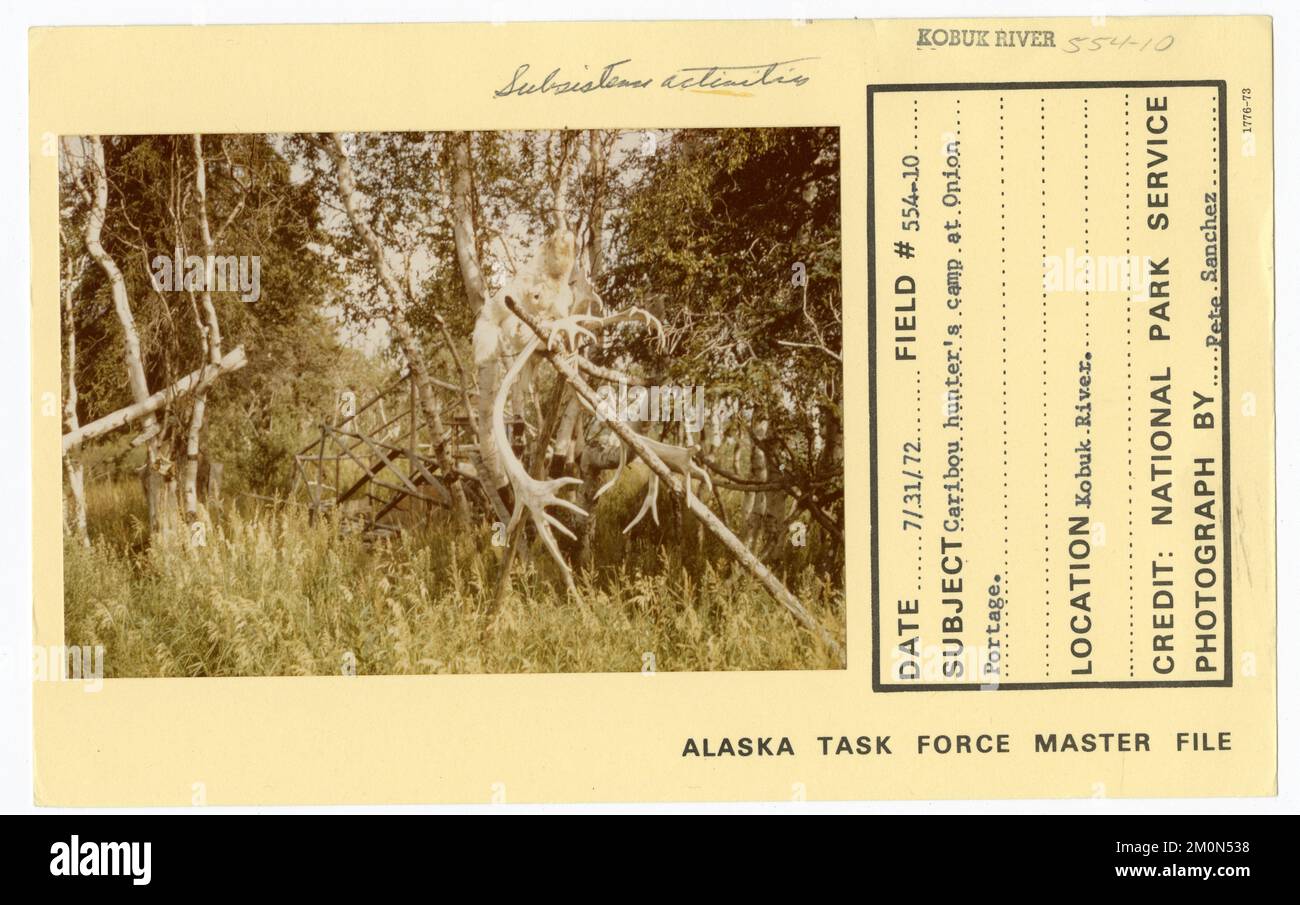 Caribou hunter's camp at Onion Portage. Alaska Task Force Photographs ...
