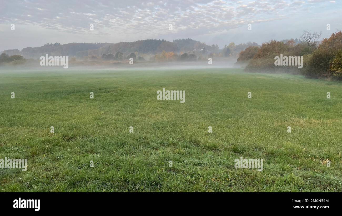 A green landscape of a foggy field Stock Photo - Alamy
