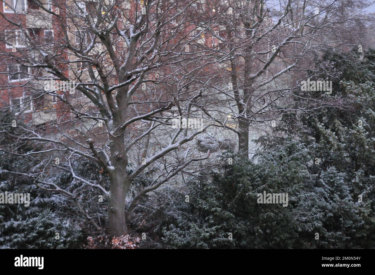 Kastrup/Copenhagen /Denmmark/07 December 2022/Snow fall in Kastrup ...