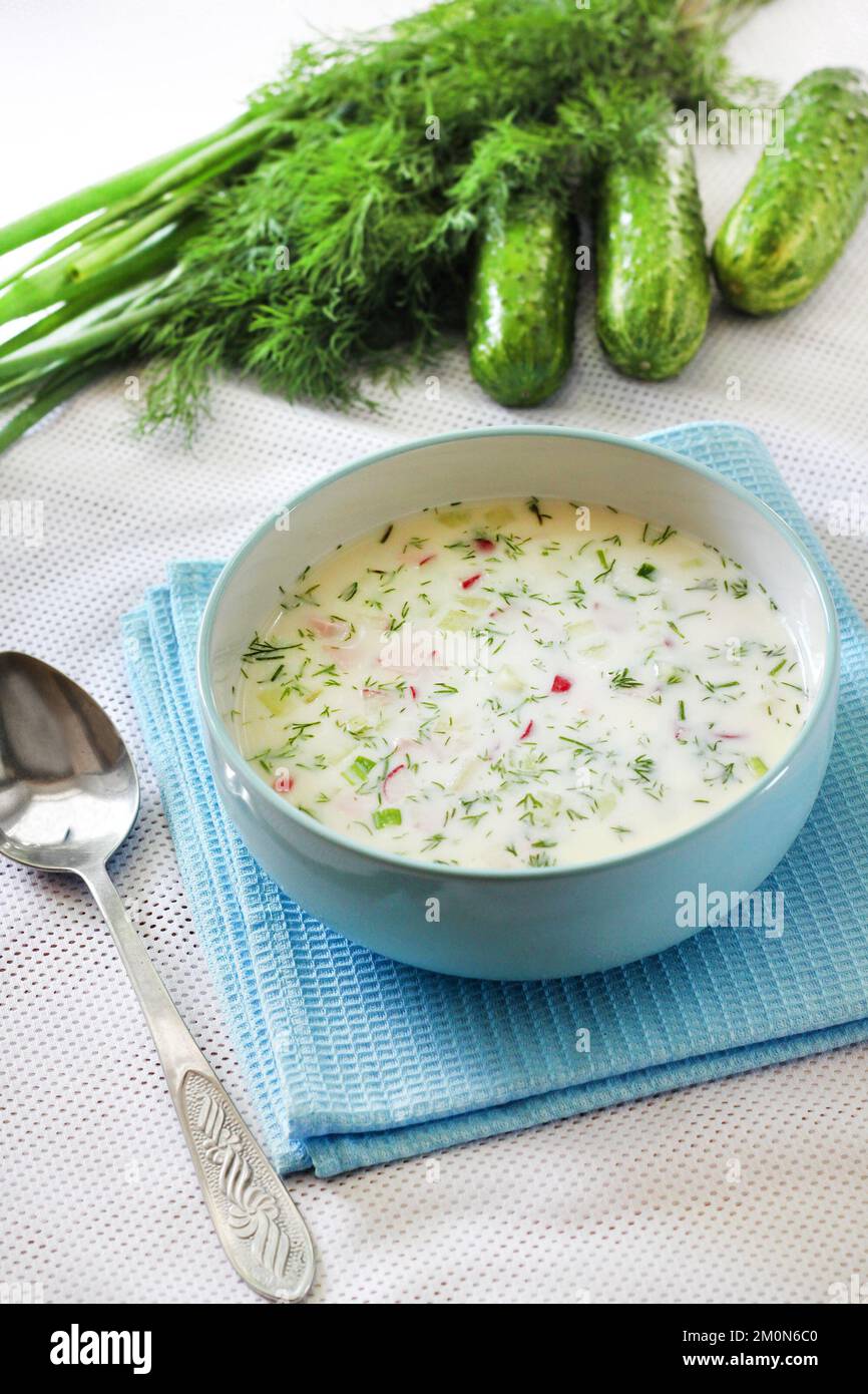 Okroshka - traditional Russian cold soup with fresh cucumber, boiled ...