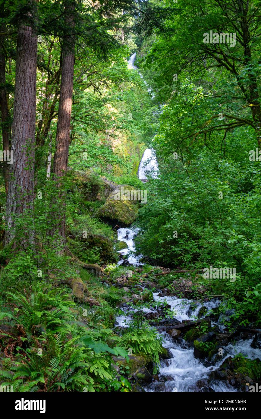 Columbia river gorge springtime hi-res stock photography and images - Alamy