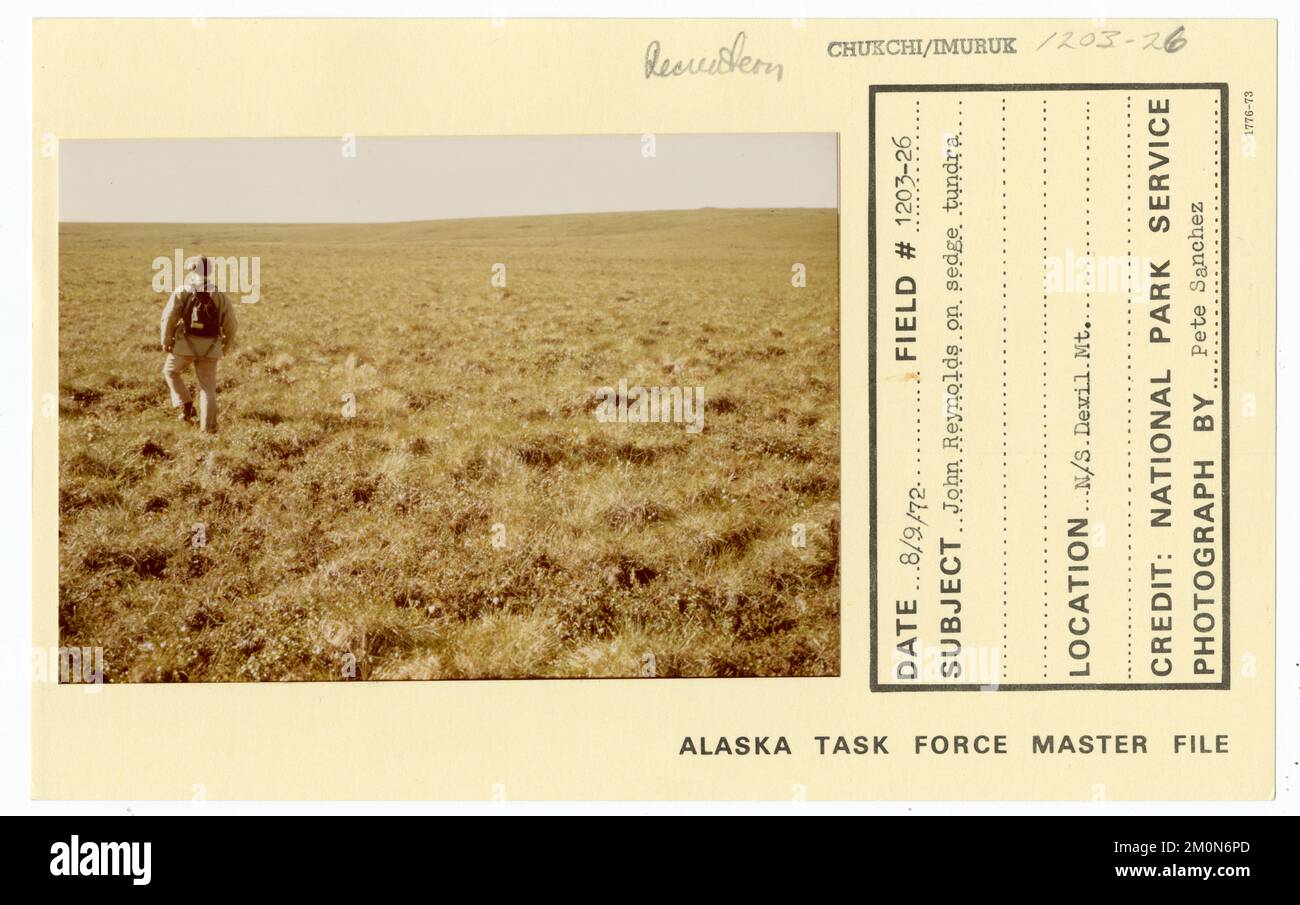 John Reynolds on sedge tundra. Alaska Task Force Photographs Stock ...
