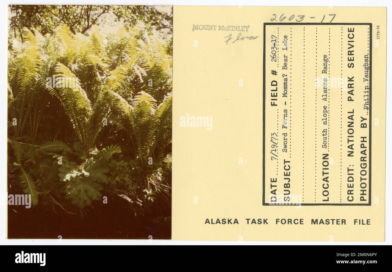 Task force sword hi-res stock photography and images - Alamy