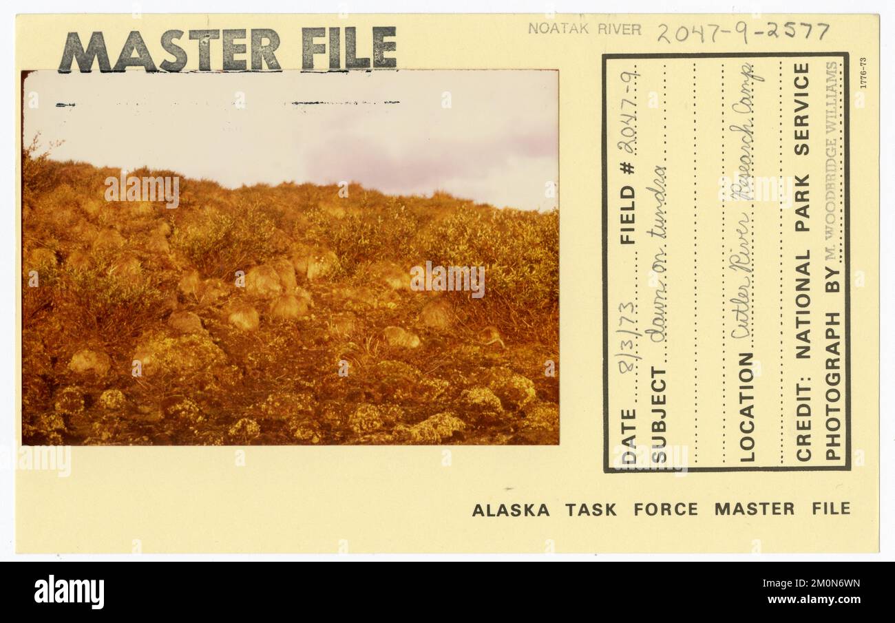 Dawn on tundra. Alaska Task Force Photographs Stock Photo - Alamy