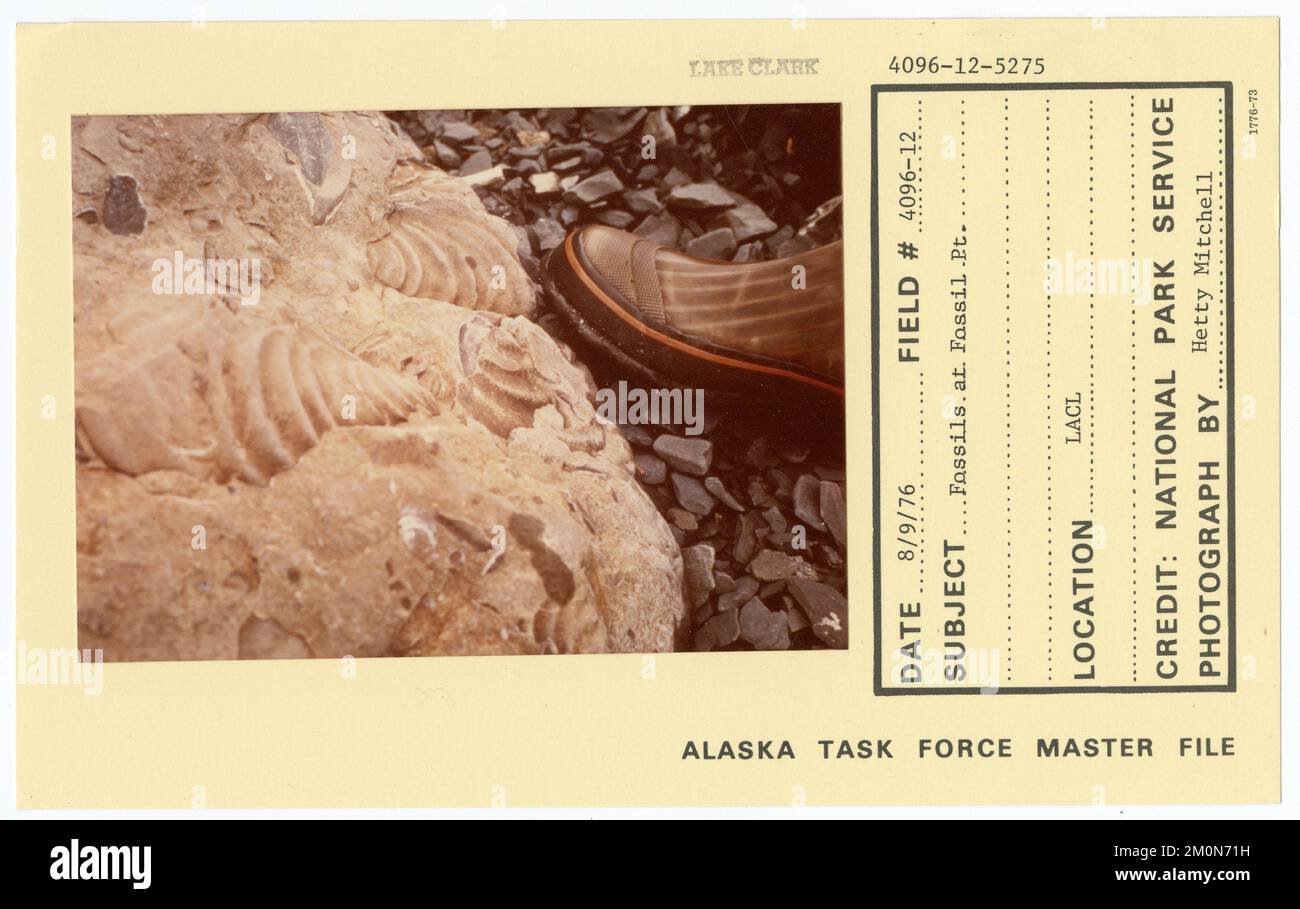 Fossils excavation site Cut Out Stock Images & Pictures - Alamy
