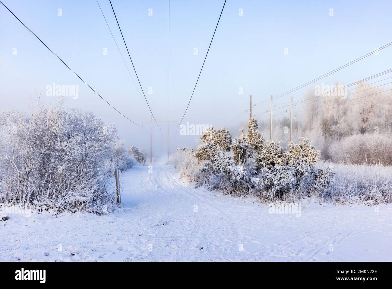 Footpath under a power line in a wintry landscape Stock Photo - Alamy