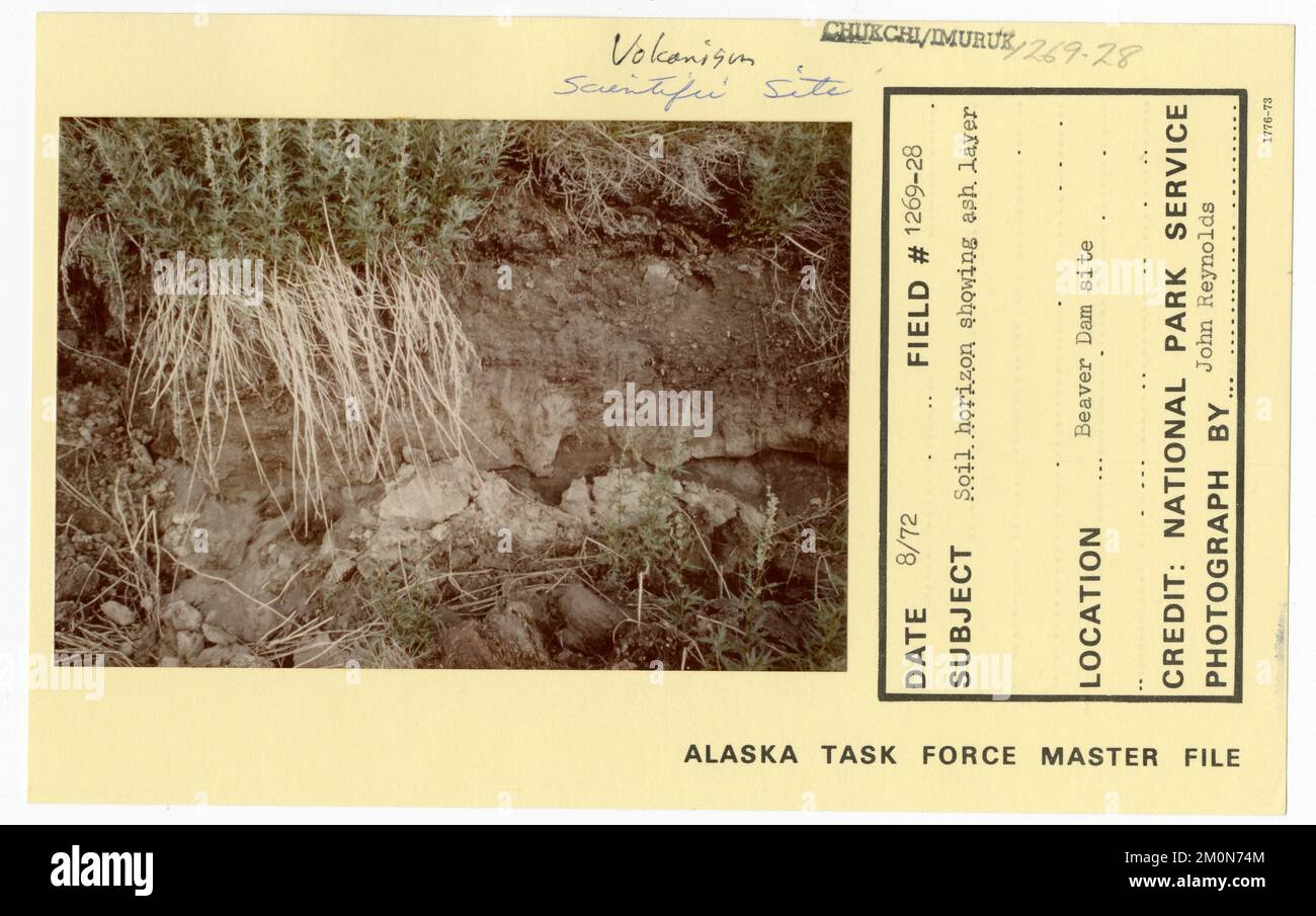 Soil horizon showing ash layer. Alaska Task Force Photographs Stock ...