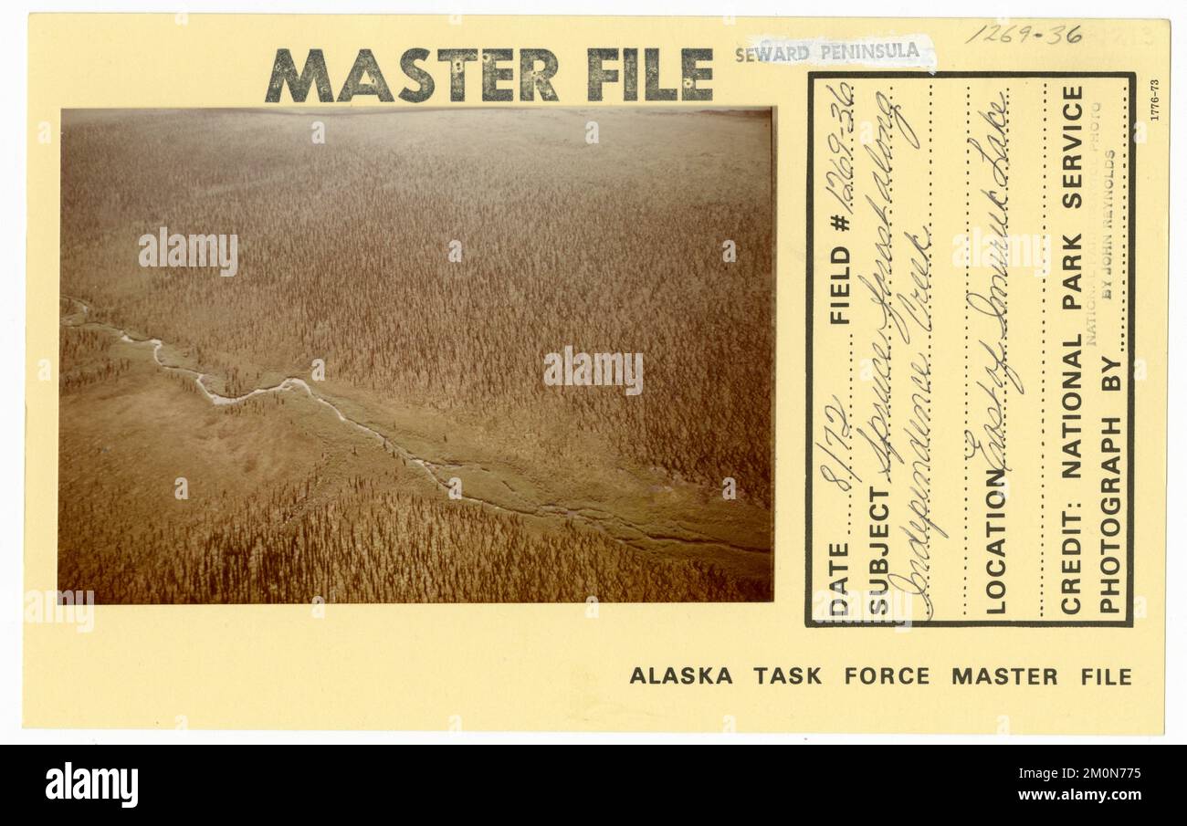 Spruce forest along Independence Creek. Alaska Task Force Photographs ...