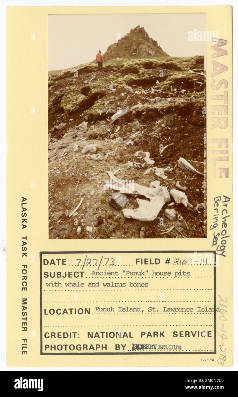Ancient "Punuk" house pits with whale and walrus bones. Alaska Task ...