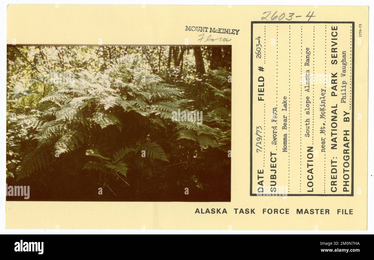 Task force sword hi-res stock photography and images - Alamy