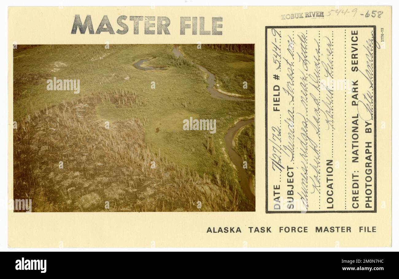 Tundra forest on dunes ridges near Little Kobuk Sand Dunes. Alaska Task ...