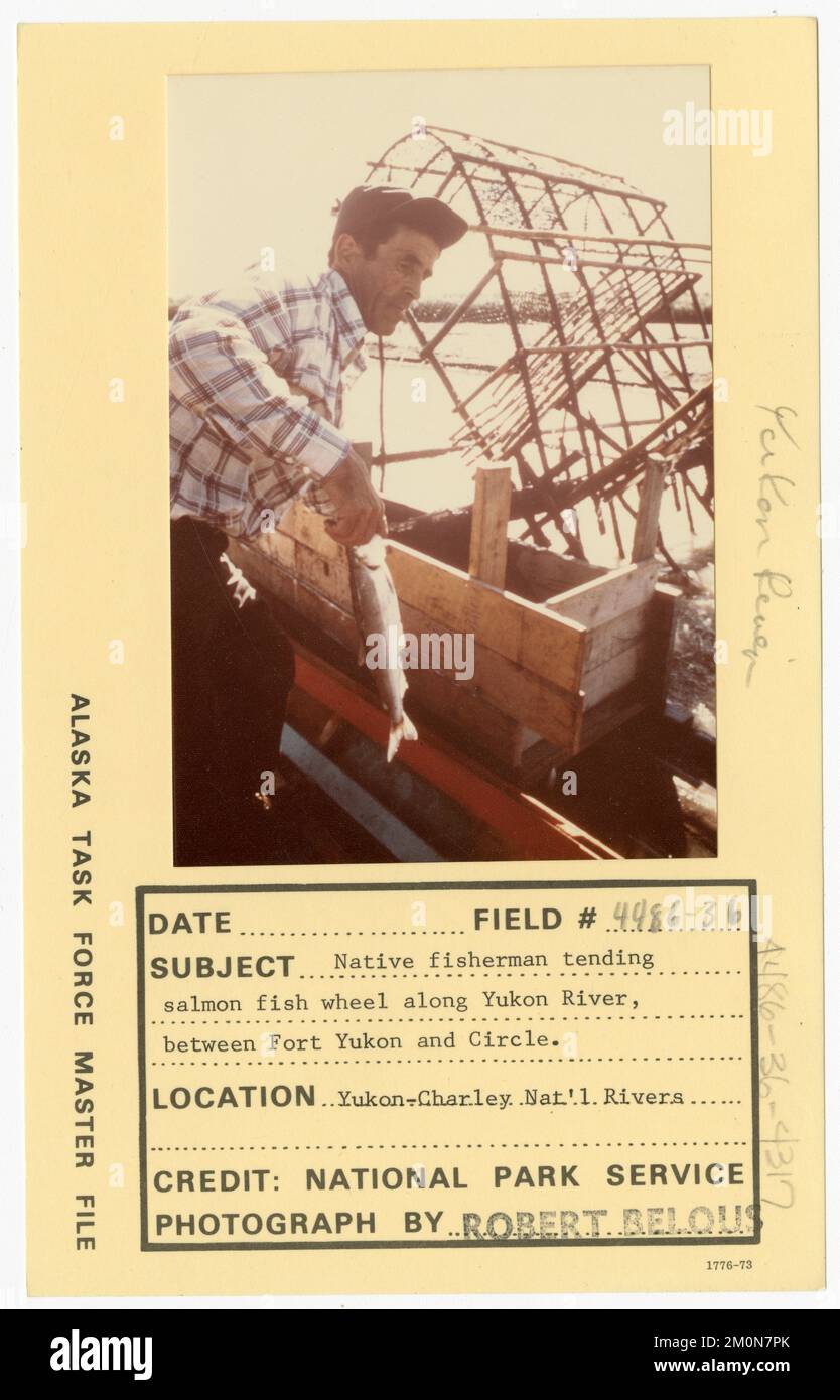 Native fisherman tending salmon fish wheel along Yukon River, between ...