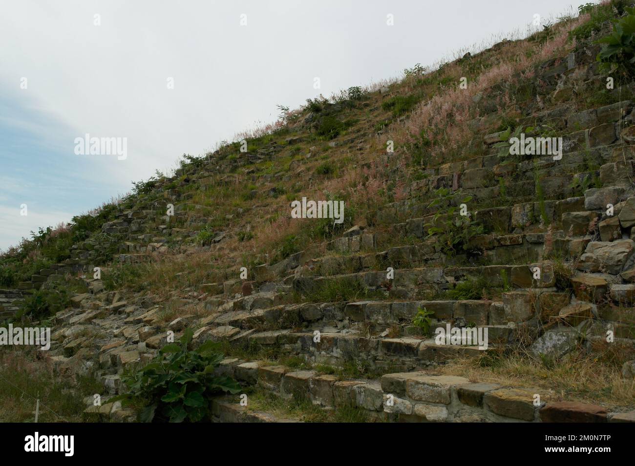 A beautiful view of ancient maya pyramid being hidden by nature Stock ...