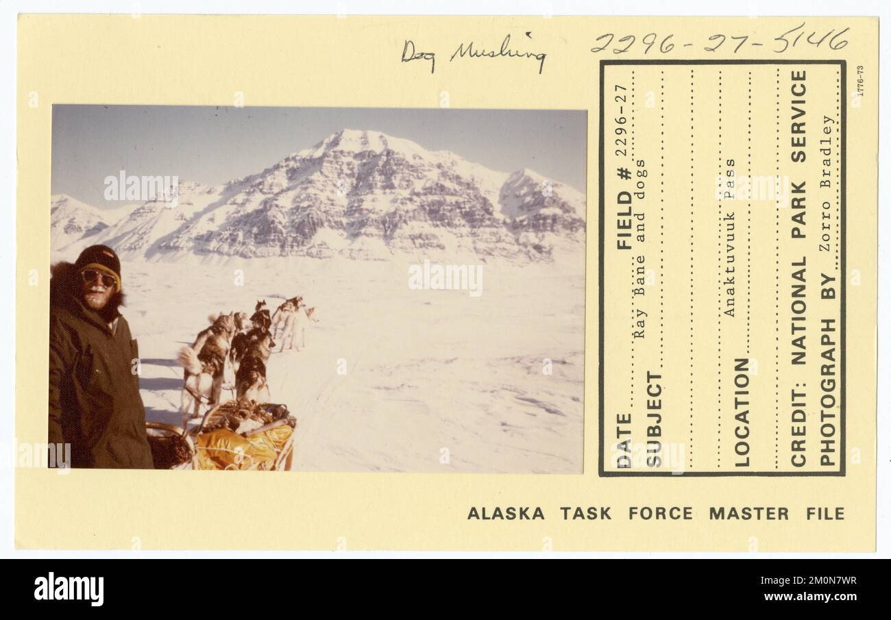Ray Bane and dogs. Alaska Task Force Photographs Stock Photo - Alamy